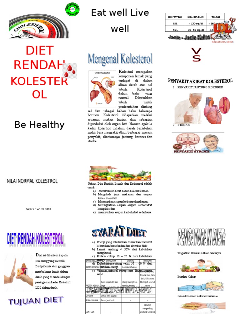 Kolestrol Leaflet | PDF