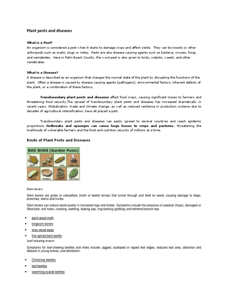 Plant Pests and Diseases Handout | PDF | Beetle | Agriculture