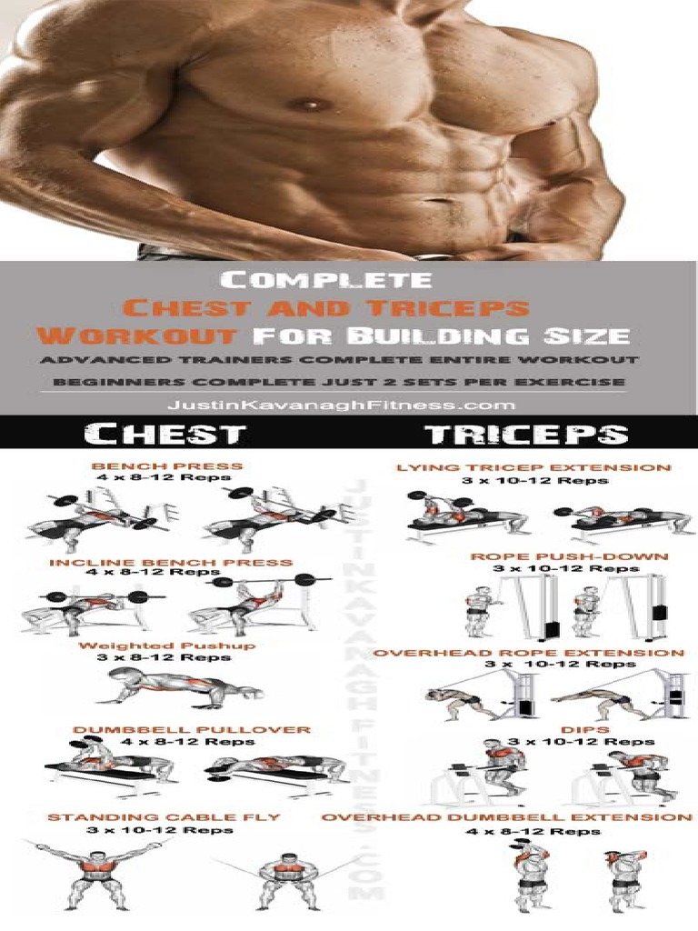 Chest and Triceps Workout 1 | PDF