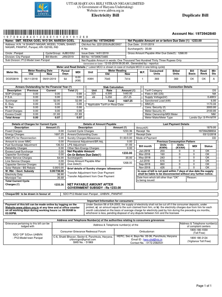Electricity Bill Duplicate Bill: Account No: 1973942840 | PDF ...