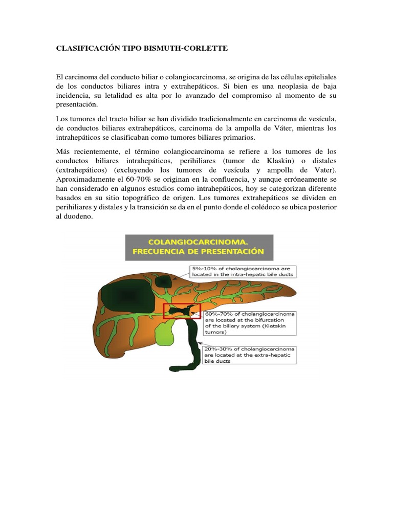 Clasificación Bismuth-Corlette | PDF | Ciencia y matemáticas