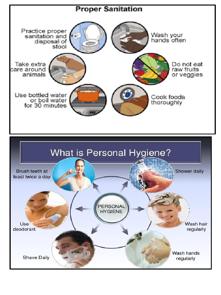 Proper Sanitation | PDF