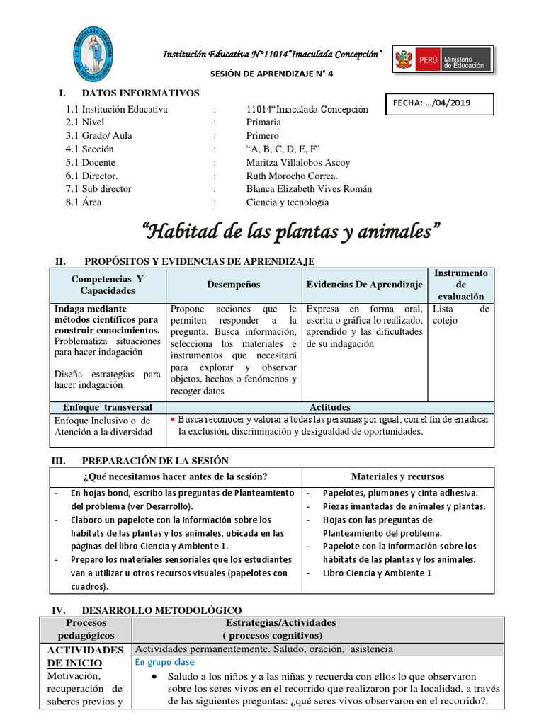 Sesion de Aprendizaje N° 4 | PDF | Aprendizaje | Plantas