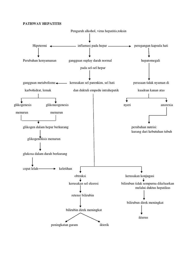 Pathway Hepatitis | PDF