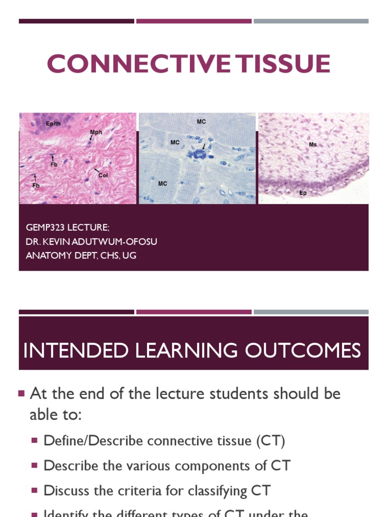 Connective Tissue: Gemp323 Lecture Dr. Kevin Adutwum-Ofosu Anatomy Dept ...