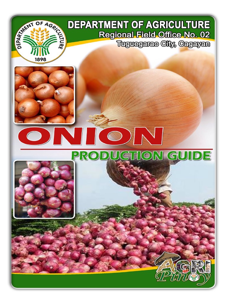 Onion Production Guide for Farmers | PDF | Onion | Fertilizer