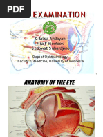 Efron Grading Scales For Contact Lens Co | PDF