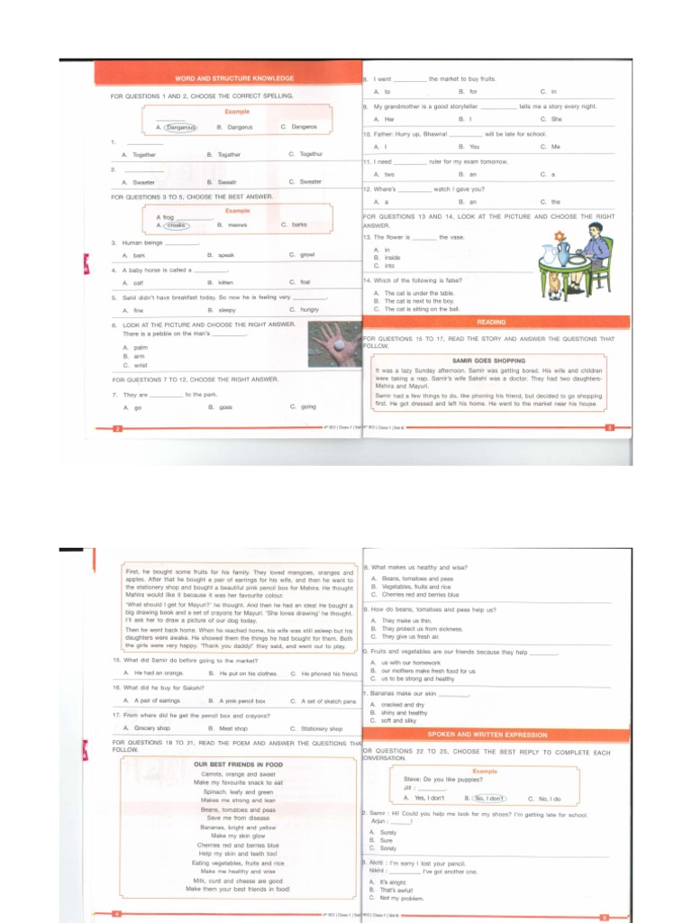 IEO Sample Paper Class-1 | PDF