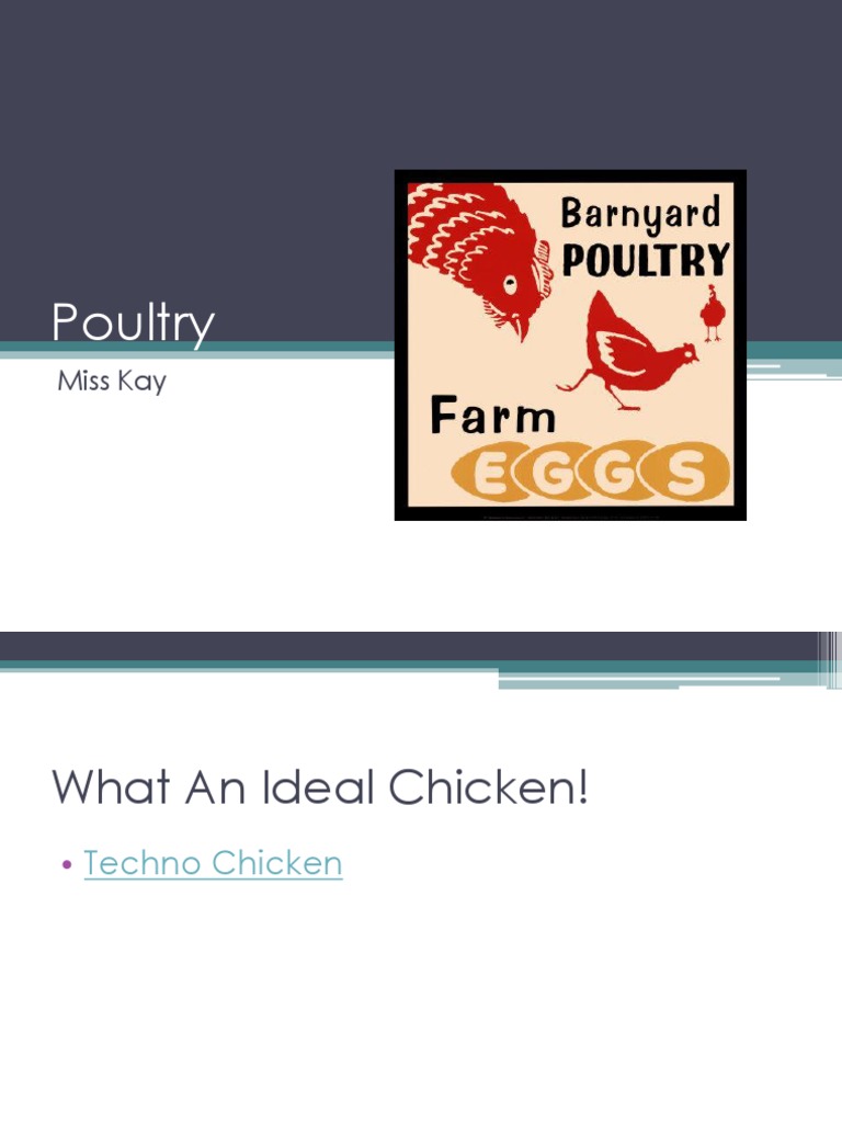 Poultry Judging | PDF | Chicken | Beak