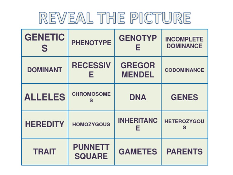 Genetics: Key Terms and Concepts | PDF | Science & Mathematics