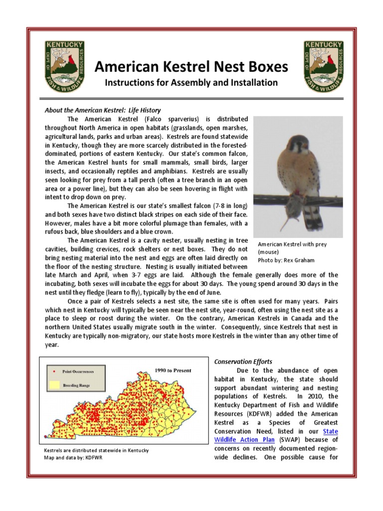 American Kestrel Nest Boxes: Instructions For Assembly and Installation ...