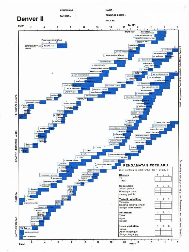 Form Denver II Biru PDF | PDF