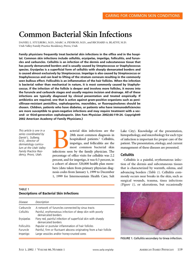 Common Bacterial Skin Infections | PDF | Streptococcus | Staphylococcus ...