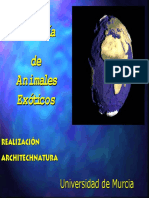 Mapa Conceptual Bello de Las Aves | PDF