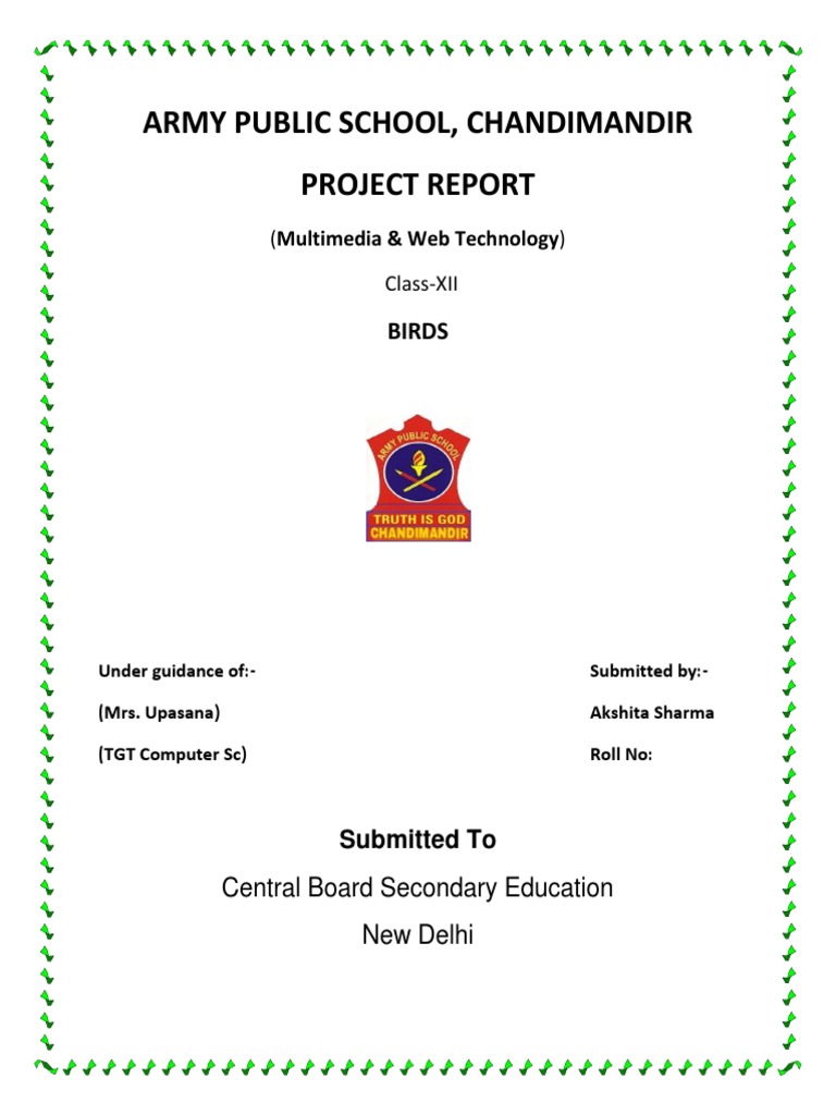 Army Public School, Chandimandir Project Report: Birds | PDF