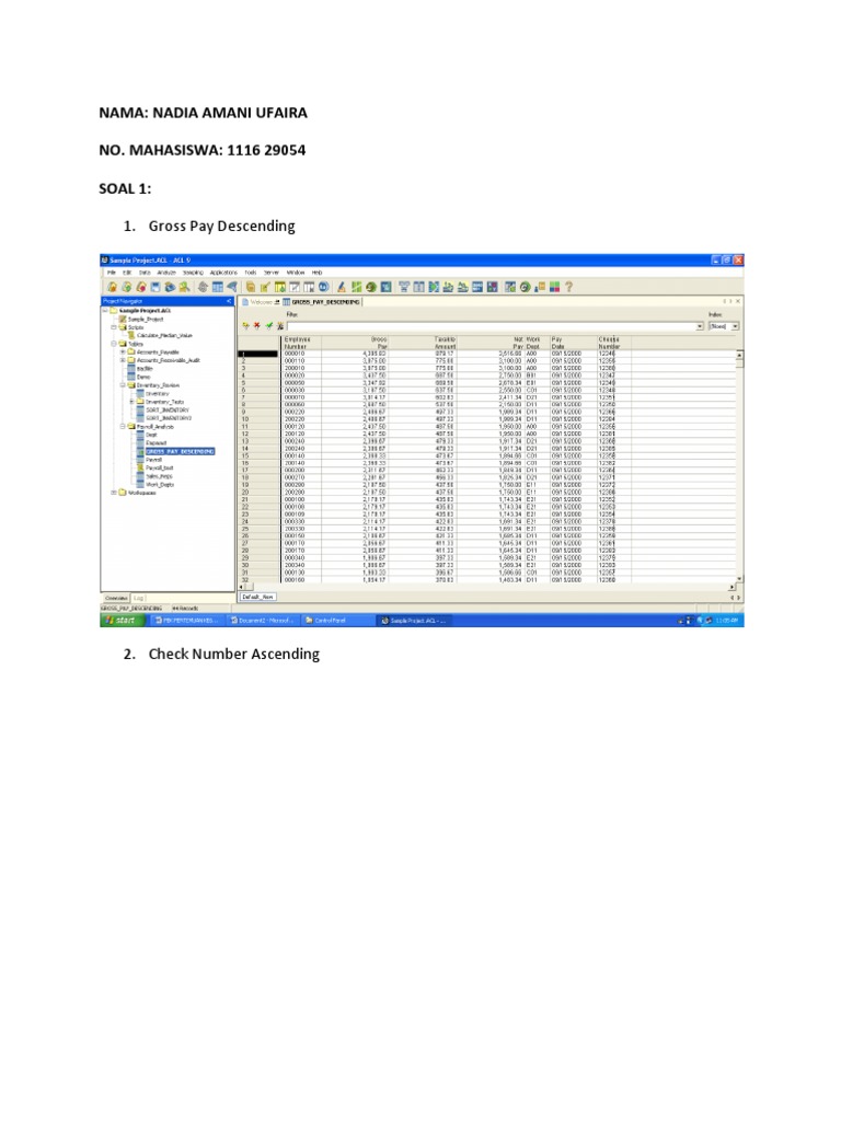 Report on Data Analysis and Sorting Tasks | PDF