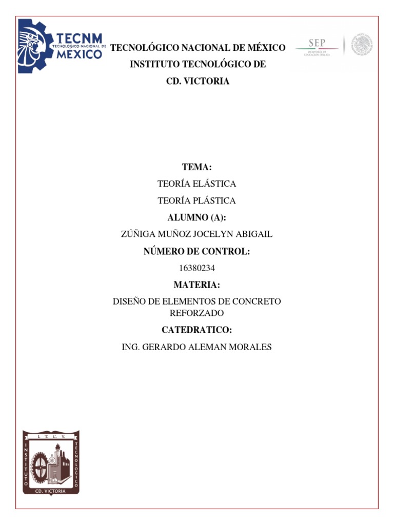 Teoria Elastica/ Plastica | PDF | Elasticidad (Física) | Resistencia de ...