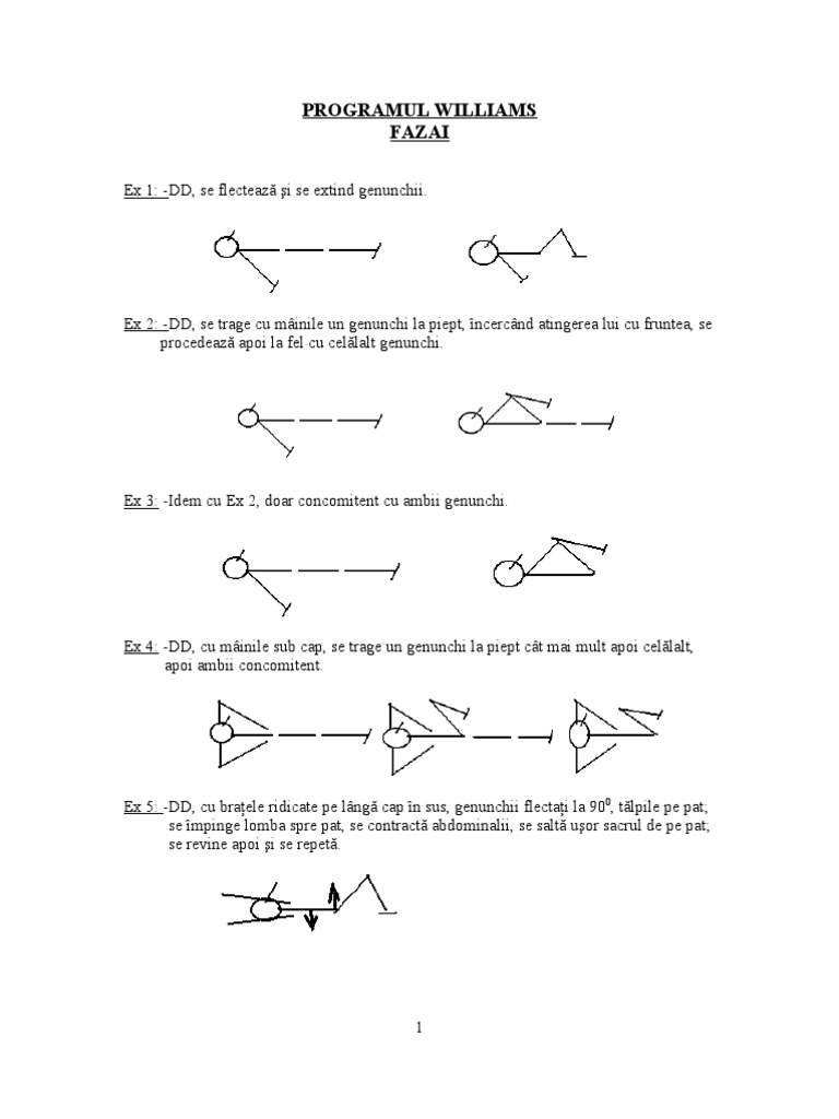 Programul Williams | PDF