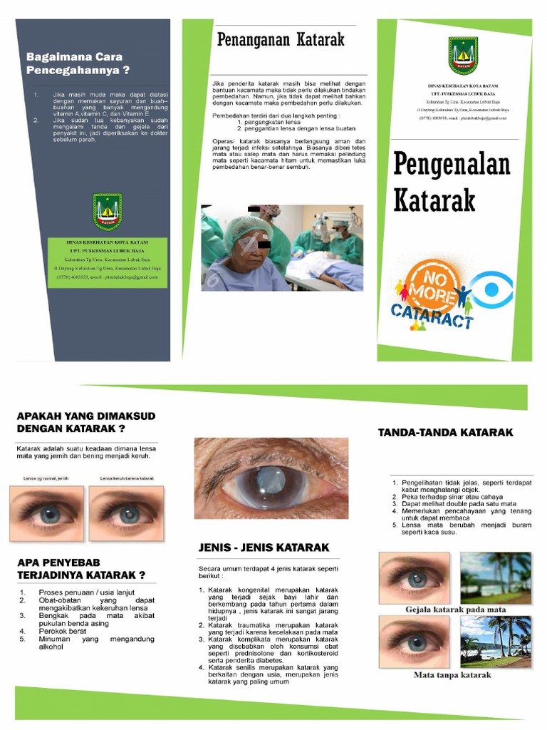 Leaflet Katarak | PDF