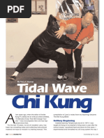 The Truth About The Lin Kong Jing | PDF | Qigong | Qi