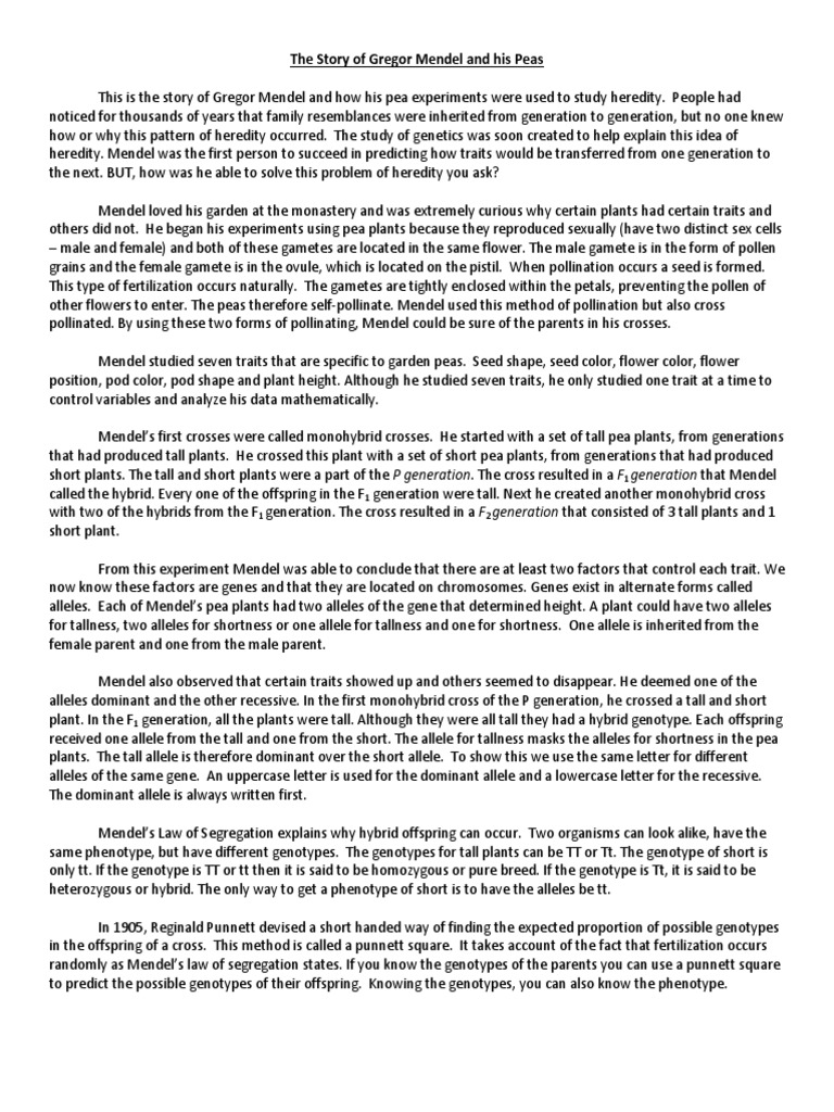 Mendel's Pea Experiments Explained | PDF | Genotype | Dominance (Genetics)