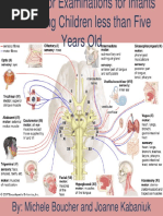 HINE Scoring Examples | PDF | Anatomical Terms Of Motion | Human Body