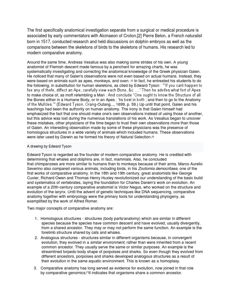 A Drawing by Edward Tyson | PDF | Biological Evolution | Evolutionary Biology