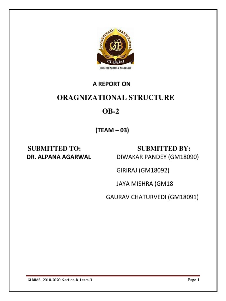 Organizational Structure Overview | PDF | Organizational Structure ...