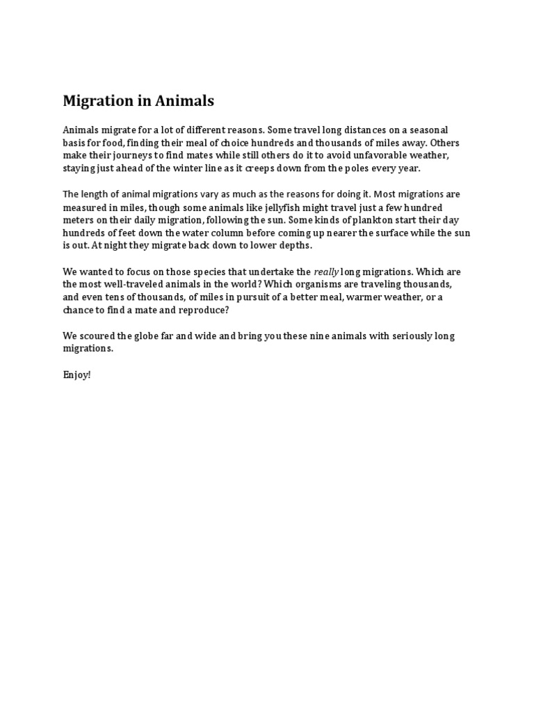 Migration in Animals | PDF | Whales | Bird Migration