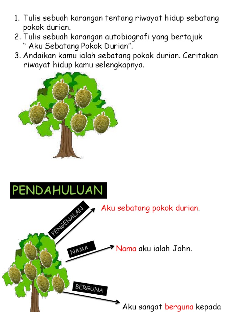 Contoh Karangan Aku Sebatang Pokok Durian Tahun 4 - BryantrilDurham