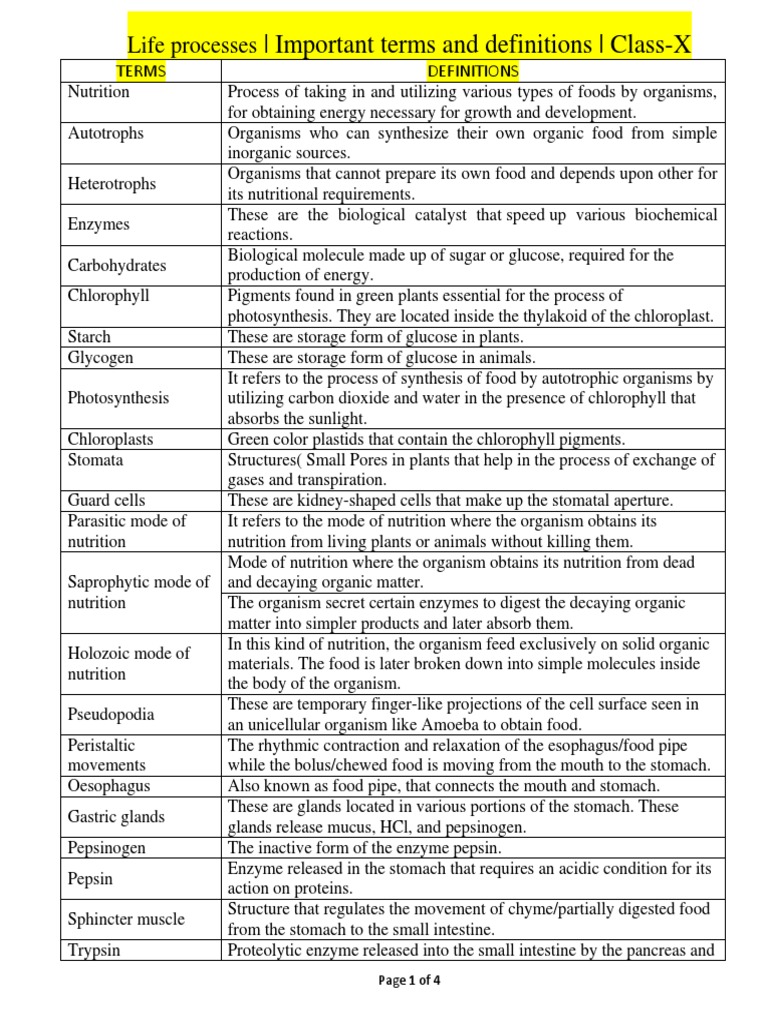 Important Terms and Definition - Biology Class X | PDF | Kidney ...