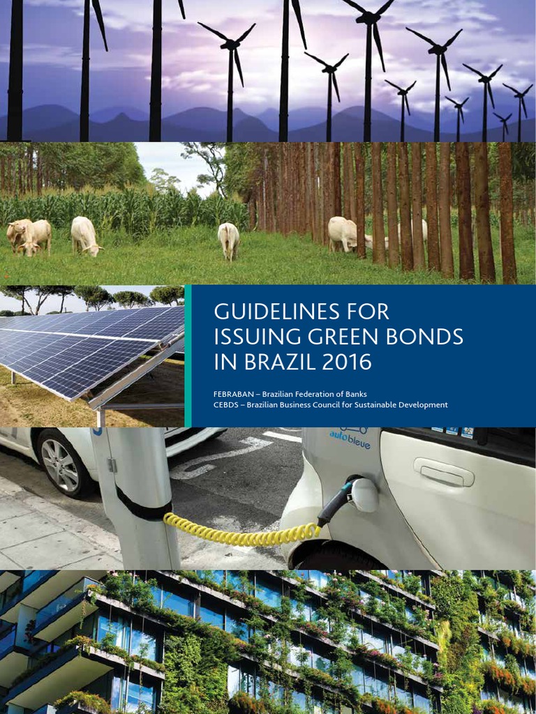 Guidelines For Issuing Green Bonds in Brazil 2016 | PDF | Bonds ...