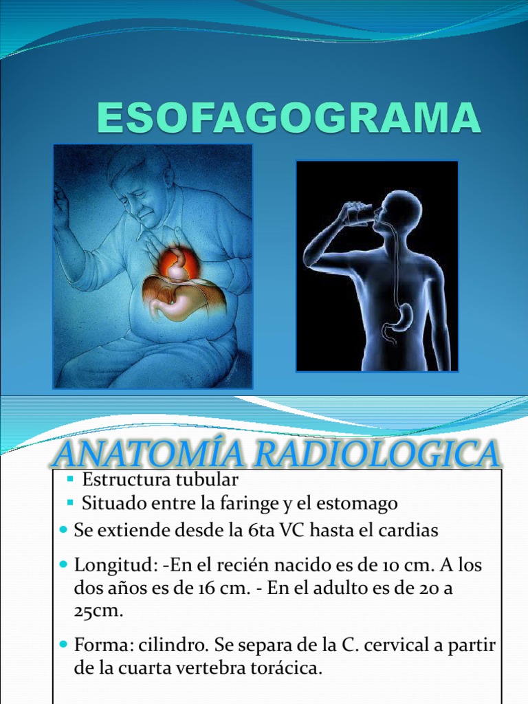 Estudios Especiales (Esofagograma) | PDF | Esófago | Estómago