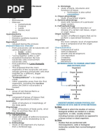 Anatomical Position Worksheet | PDF | Anatomical Terms Of Location ...