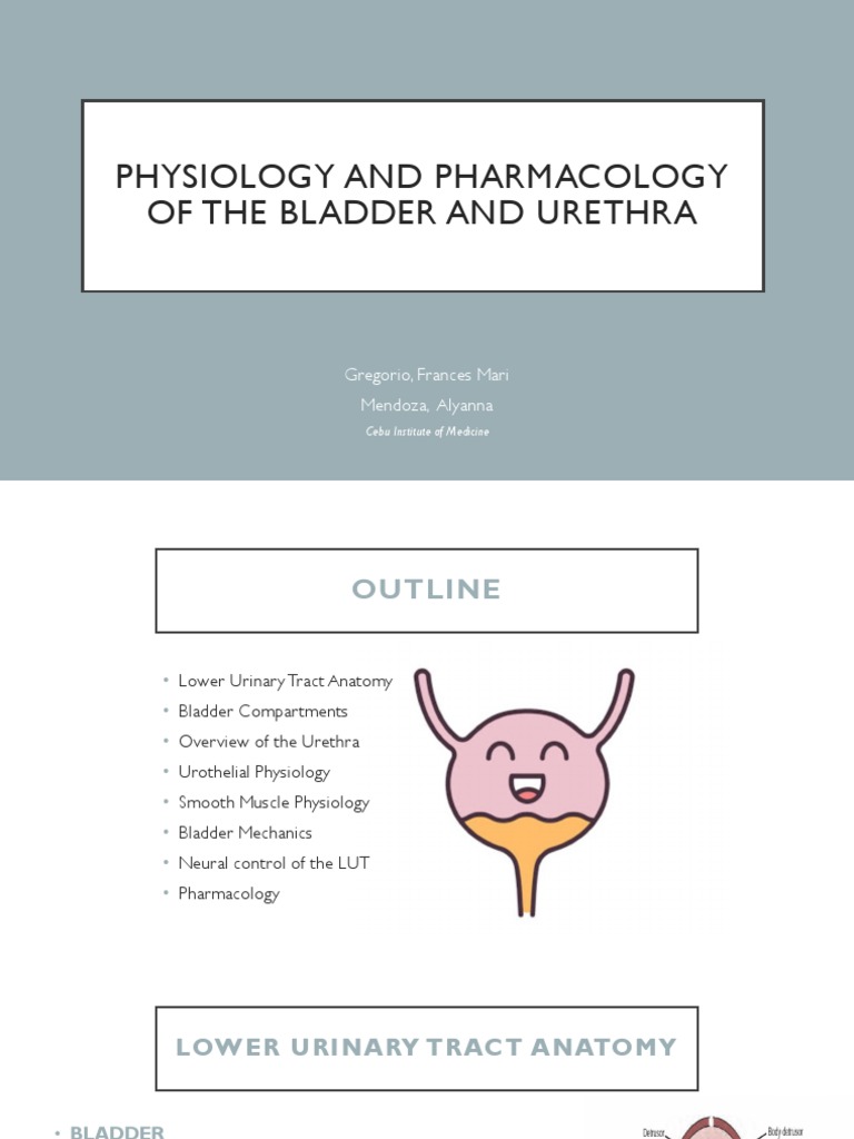 Physiology and Pharmacology of The Bladder and Urethra: Gregorio ...
