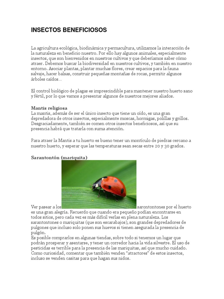 Insectos Beneficiosos | PDF | Escarabajo | Insectos