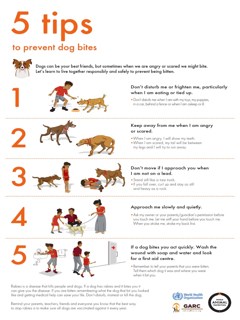 Five Tips To Prevent Dog Bites Poster | PDF | Rabies | Dogs