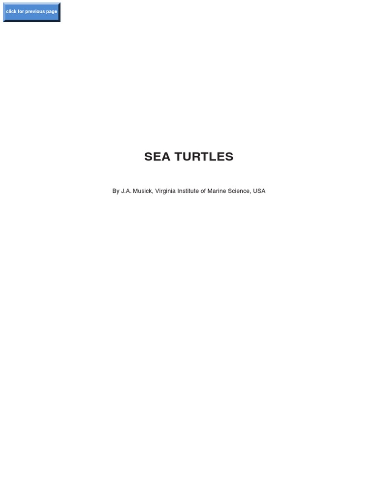 Y4162e73 PDF | PDF | Sea Turtle | Turtle