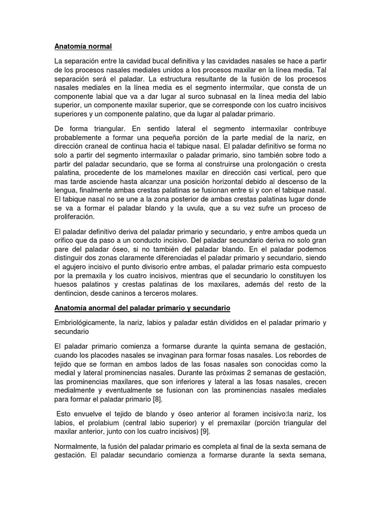 Anatomía del Paladar Primario y Secundario | PDF | Anatomía humana ...
