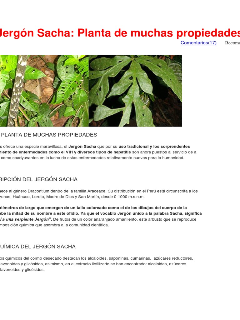 Jergón Sacha | PDF | Inhibidor de la enzima | VIH