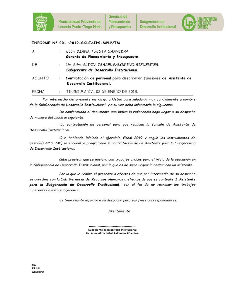 Modelo de Informe | PDF