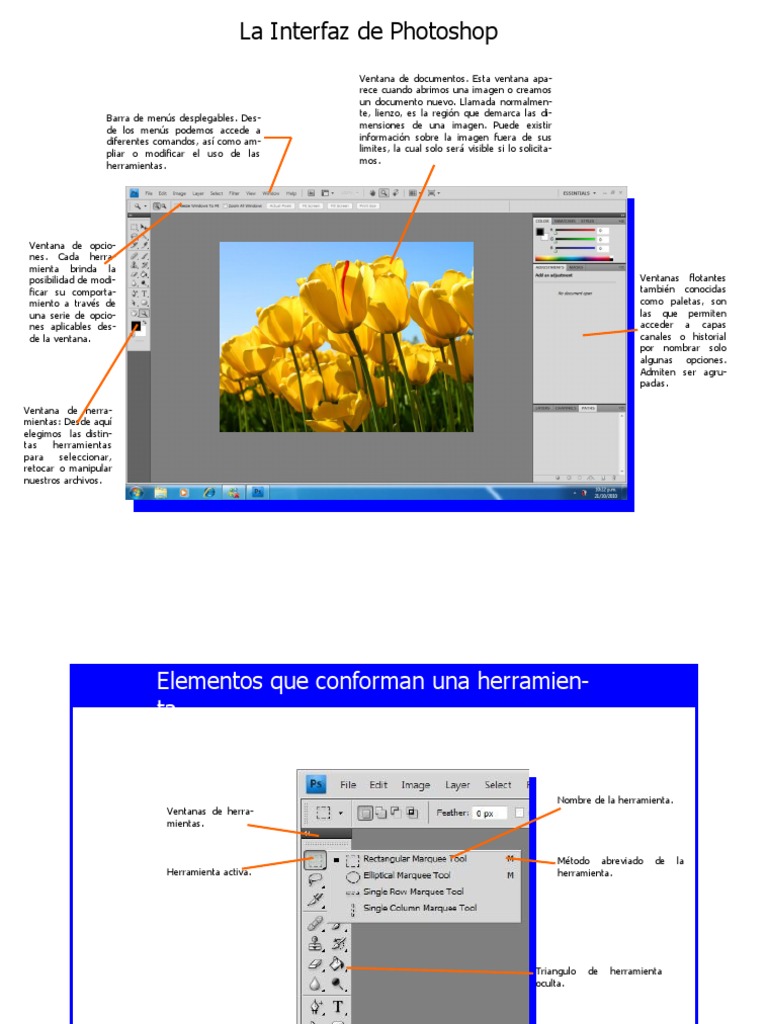 Partes de La Interface de Photoshop | Color | Ventana (informática)