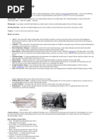 SOP On Annual Verification of Firearms, Otherwise Known As Oplan Katok ...