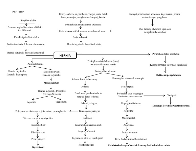 Pathway Hernia | PDF