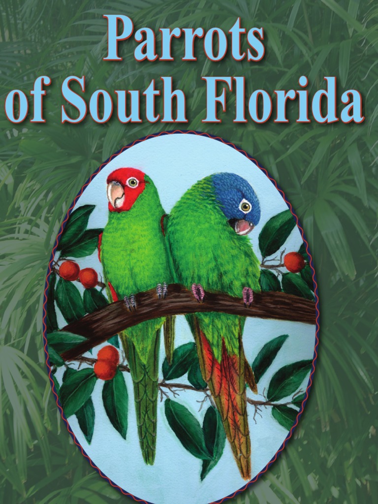 Parrots of South Florida by Susan Allene Epps | PDF | Parrot | Birds