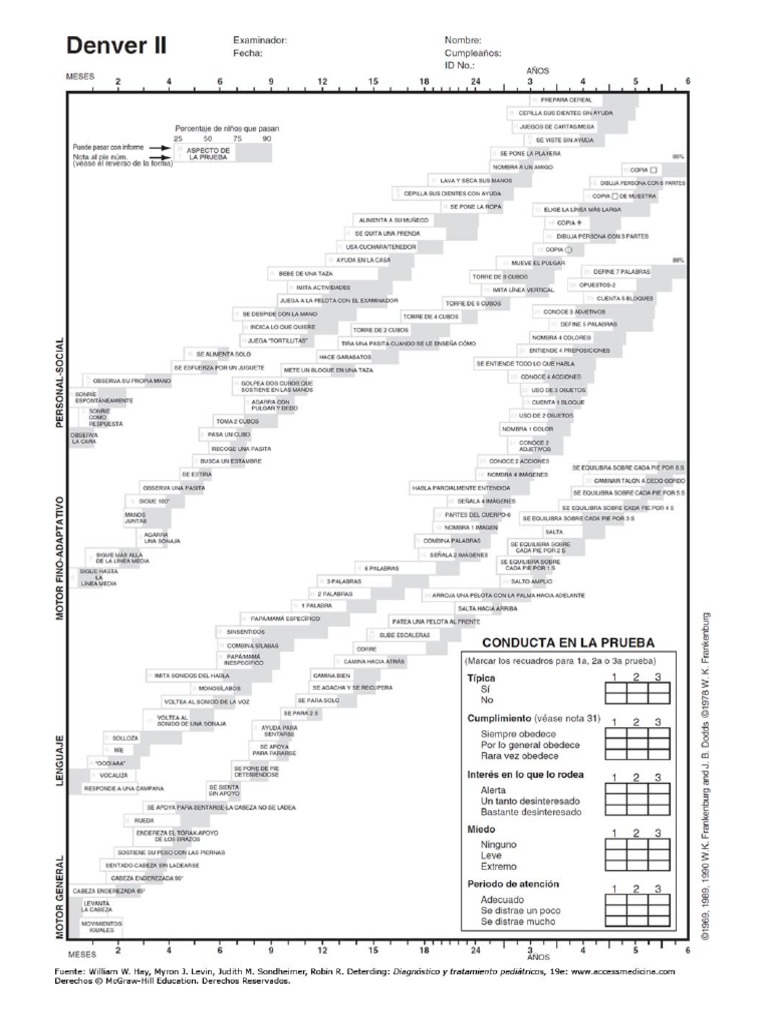 Formato Denver | PDF