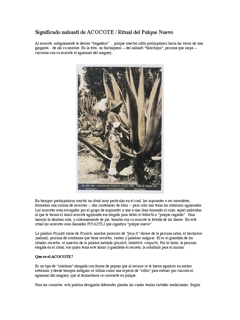 Significado Nahuatl de ACOCOTE PDF | PDF | Bebidas