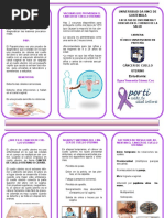 Tríptico de CÁNCER CERVICOUTERINO | PDF | Cáncer | Cáncer de cuello uterino