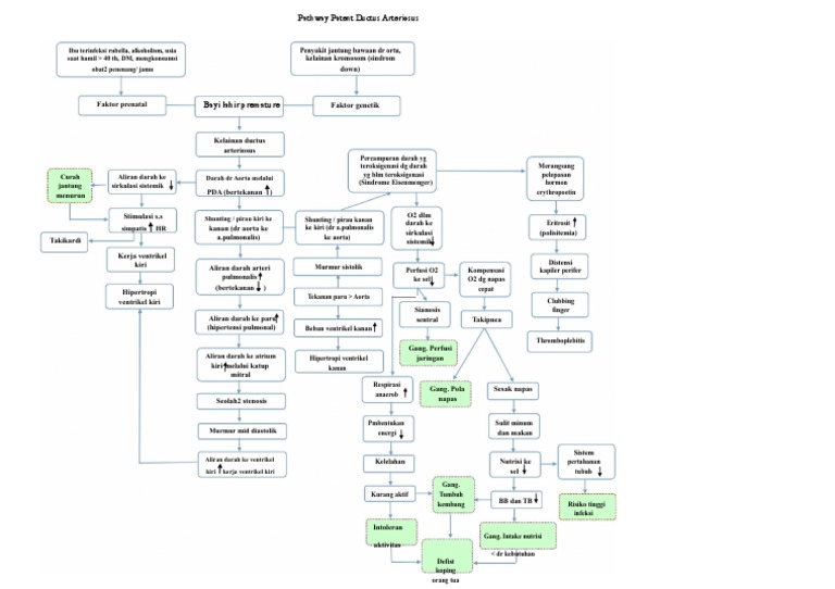 Pathway PDA pada Anak dan Faktor Risiko | PDF