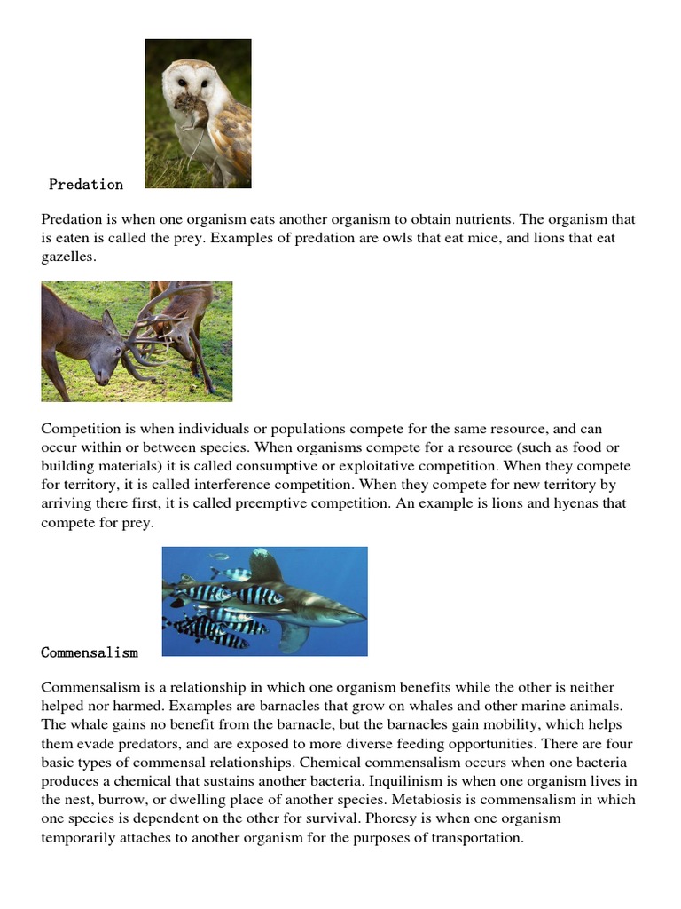 Science | PDF | Parasitism | Predation